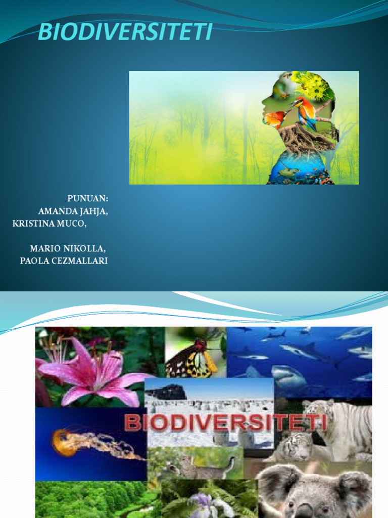 Bio Divers It Eti | PDF