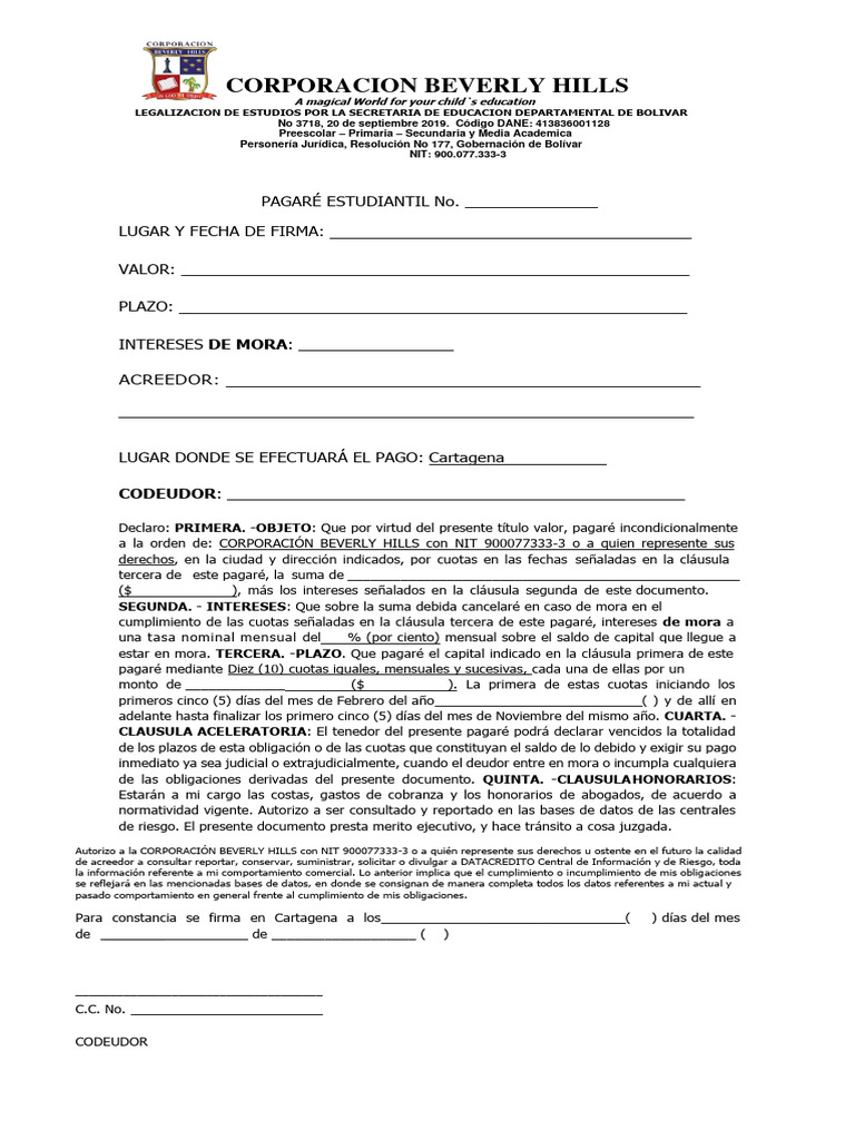 Pagaré Codeudor | PDF | Pagos