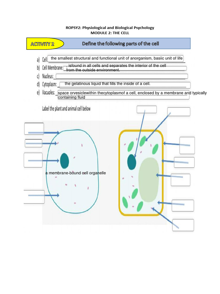ROPSY2: Physiological and Biological Psychology Module 2: The Cell | PDF