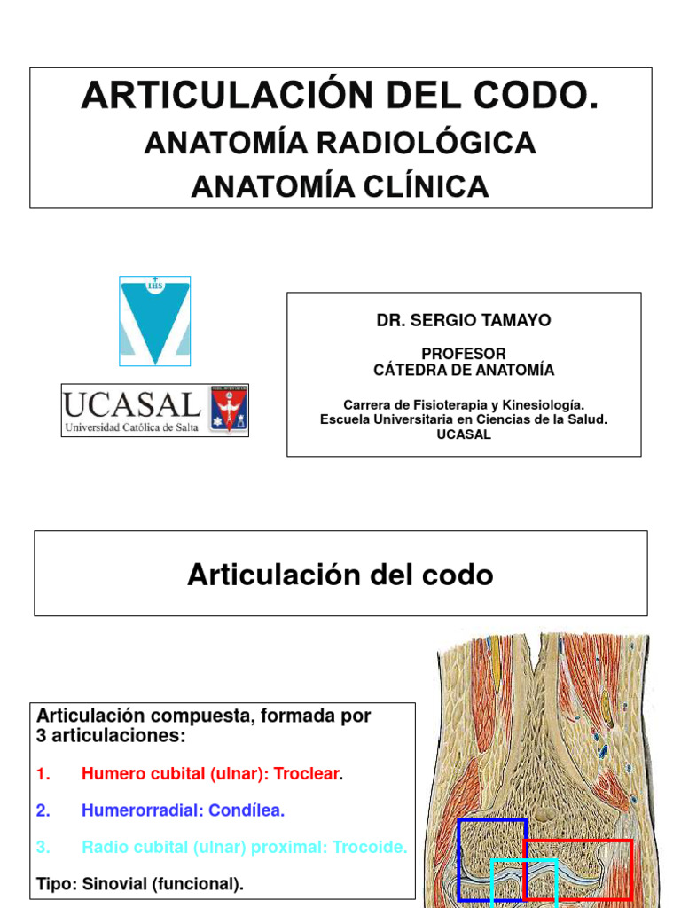 Clase3 Fisiokin Codo Pdf Codo Articulación