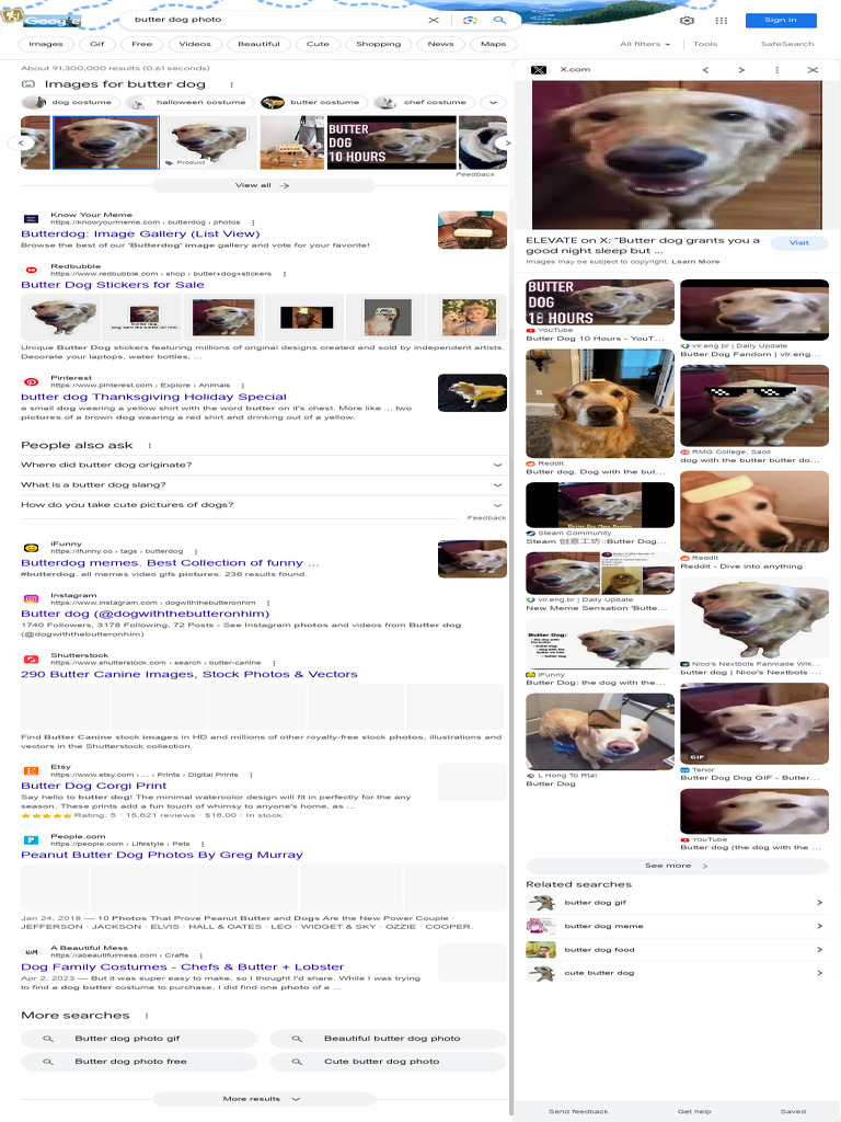 Butter Dog Photo - Google Search | PDF