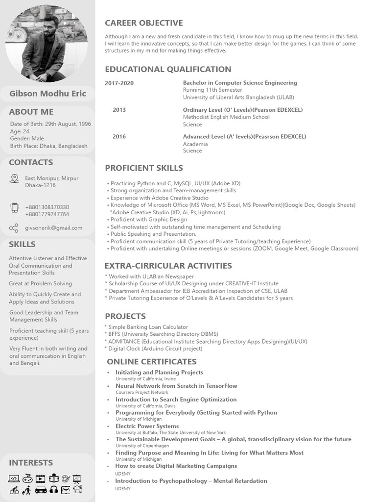 CV-Erik 1 | PDF | Cognition | Learning