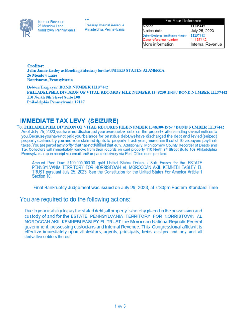 Immediate Tax Levy Notice | PDF | Debt | Internal Revenue Service