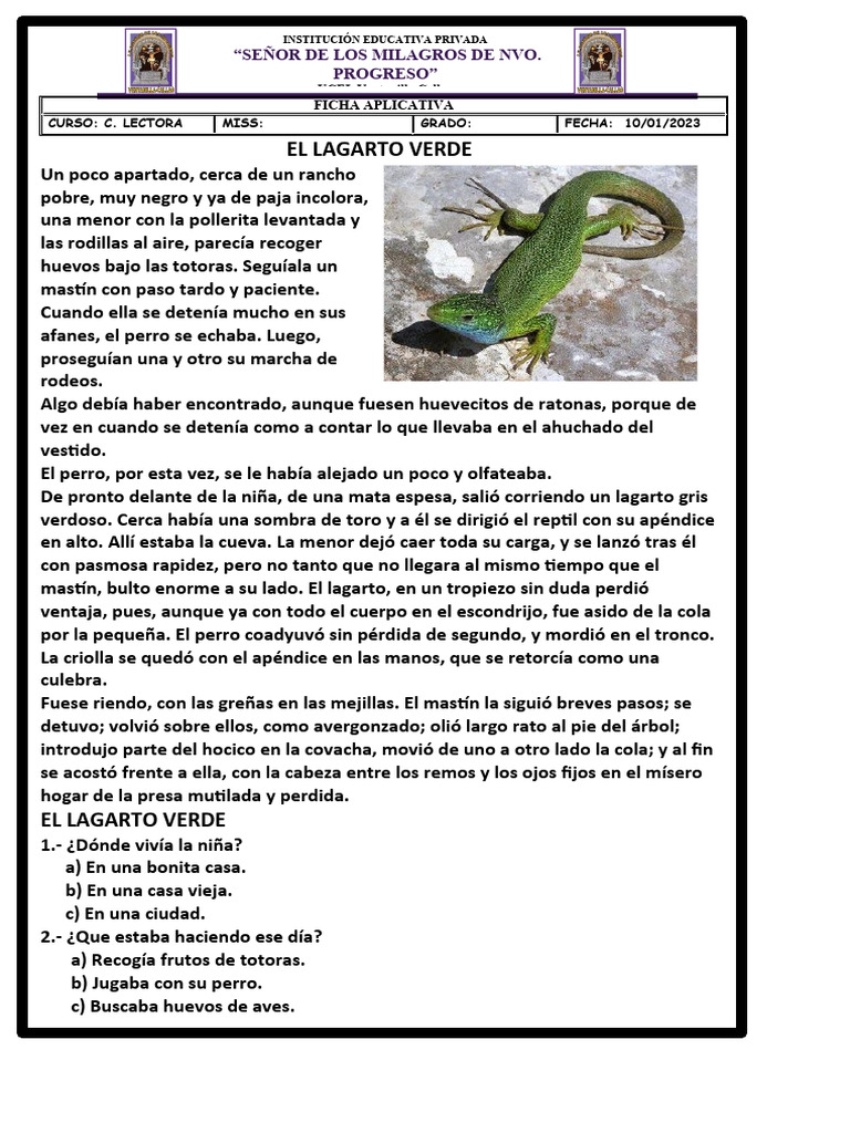 CL 9 | PDF | Predicado (Gramática)