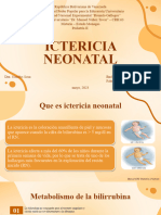 Protocolo Blue | PDF | Enfermedades y trastornos | Neumología