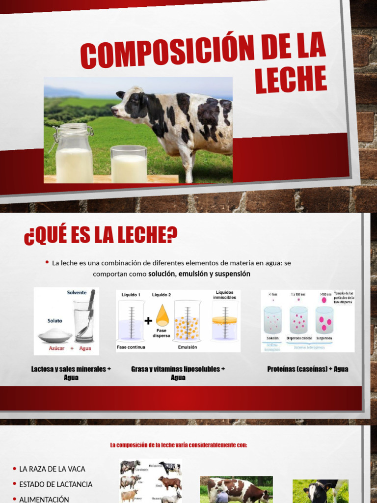 Composición y Beneficios de la Leche | PDF | Leche | Agua
