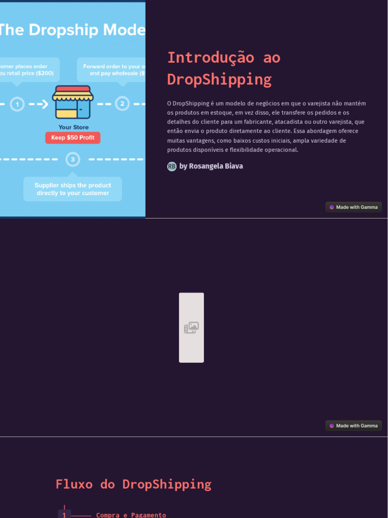 Introducao Ao DropShipping | PDF | Economia de negócios | Marketing