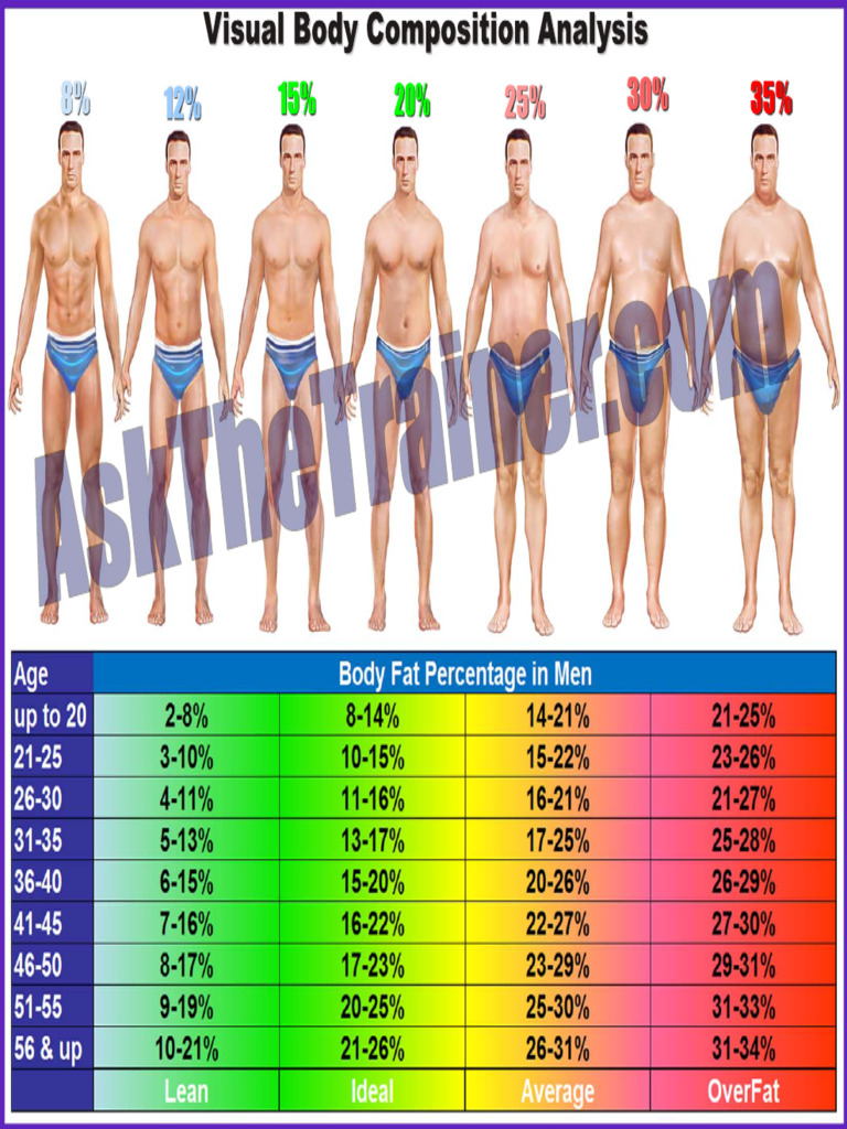 Visual Body Fat Analysis Chart Men | PDF