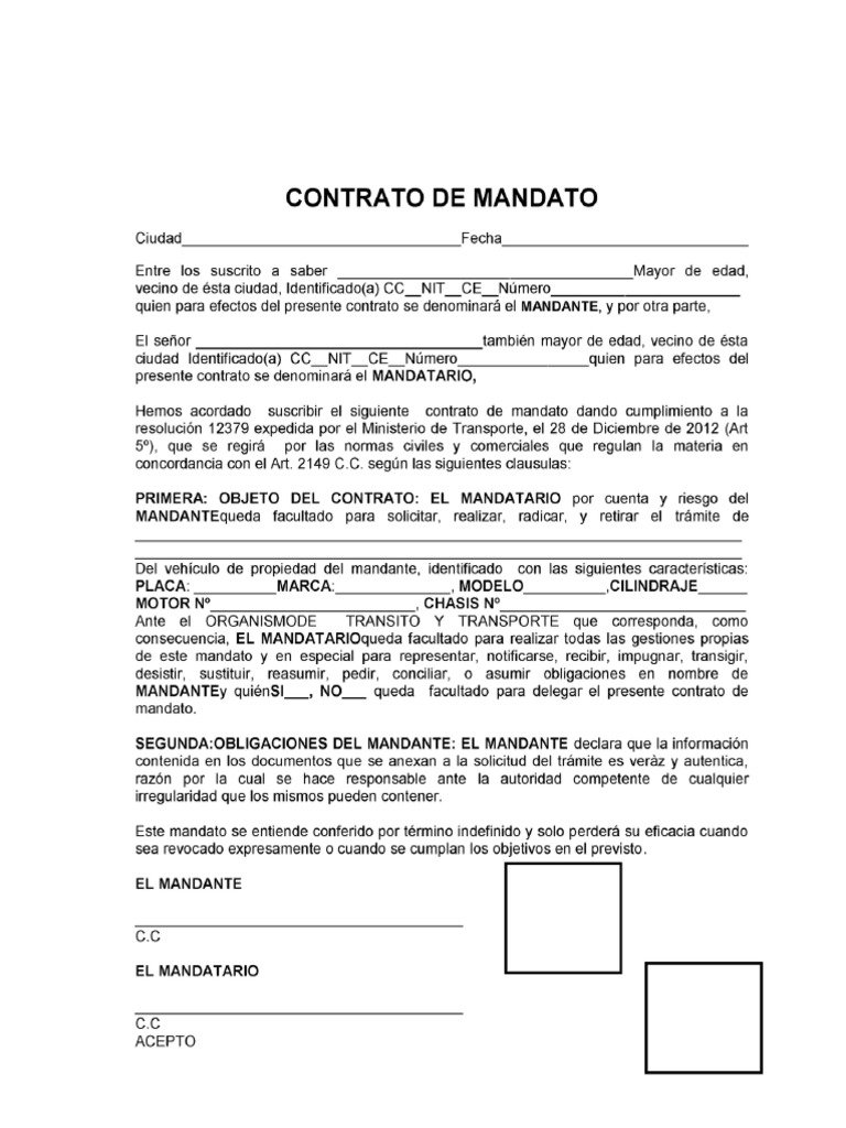 Mandato | PDF