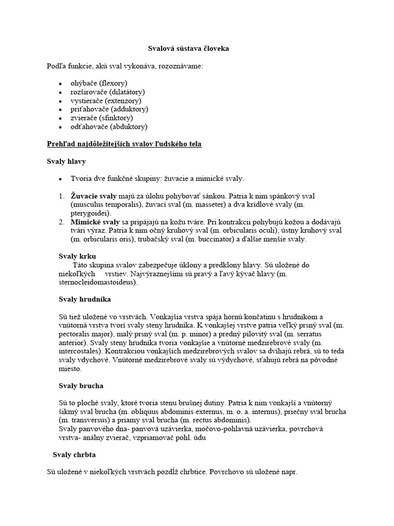 Svaly Človeka | PDF