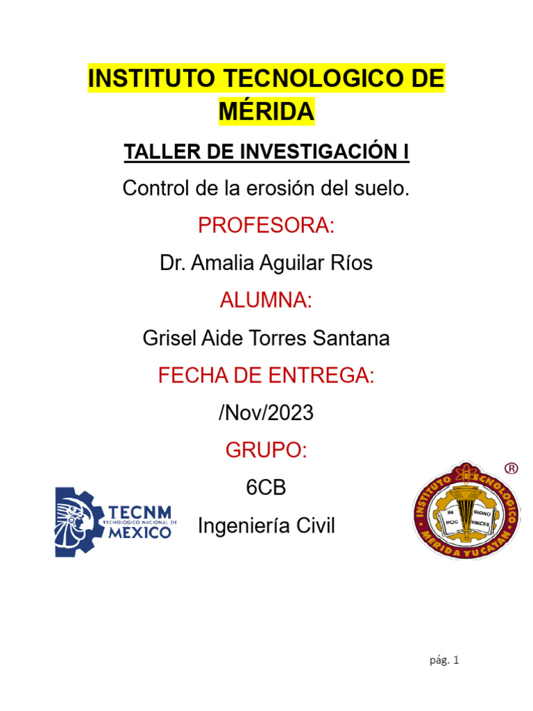 Protocolo - Grisel Torres | PDF | Suelo | Entorno natural