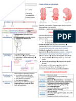 Traumatismes Cranio-Encéphaliques : PEC Initiale | PDF | Traumatisme ...