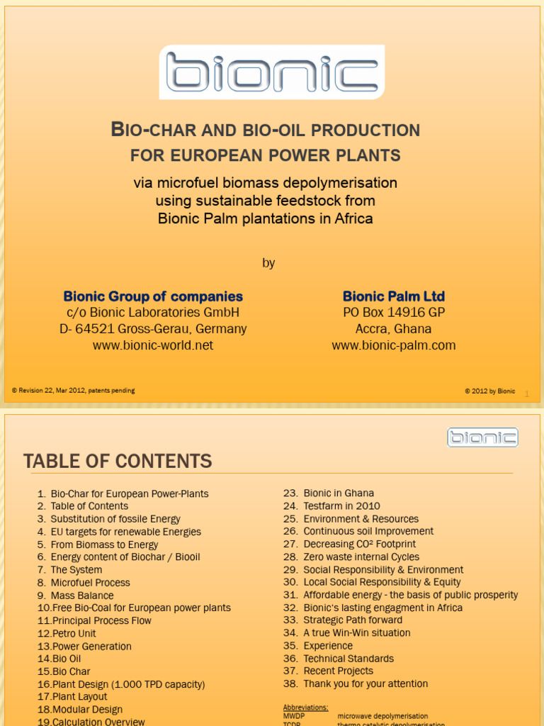 Bionic-From Biomass To Energy - 030312 - Rev - 22 | PDF | Renewable Energy | Biofuel