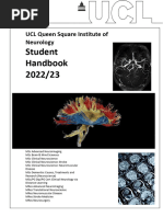 UQ Organizational Structure Overview | PDF
