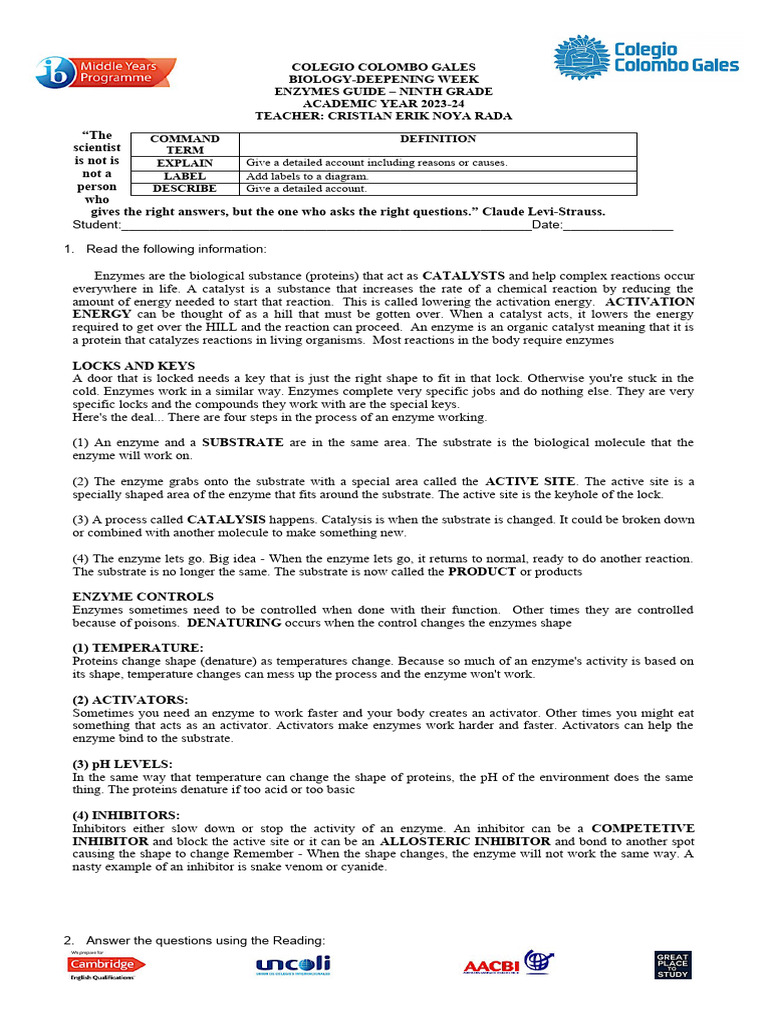 Enzymes+Guide 2 | PDF | Enzyme | Active Site