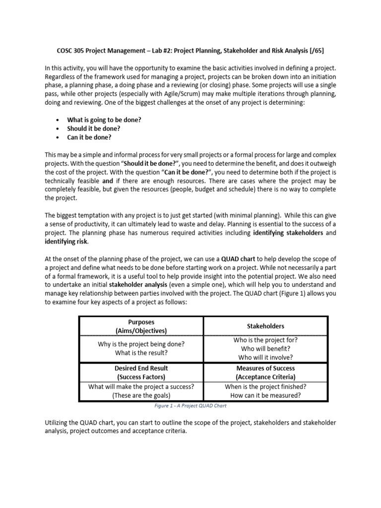 COSC 305 Project Management - Lab 2 | PDF | Risk | Project Management