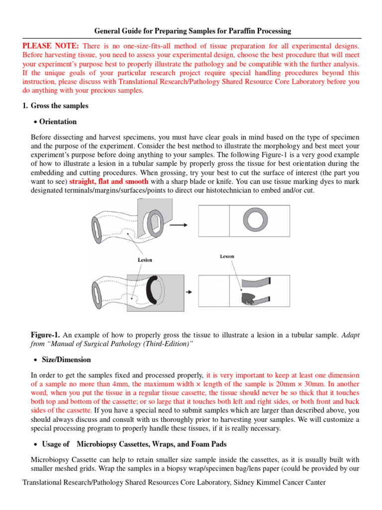 General Guide For Preparing Samples For Paraffin Processing in Non ...