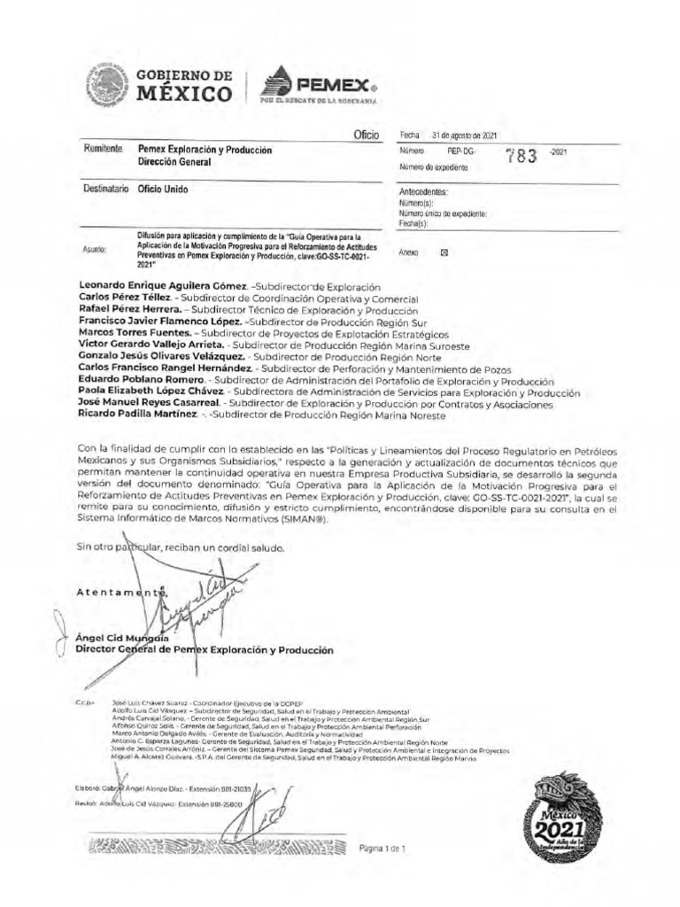 GO SS TC 0021 2017 - Motivación - Progresiva 2a Versión | PDF