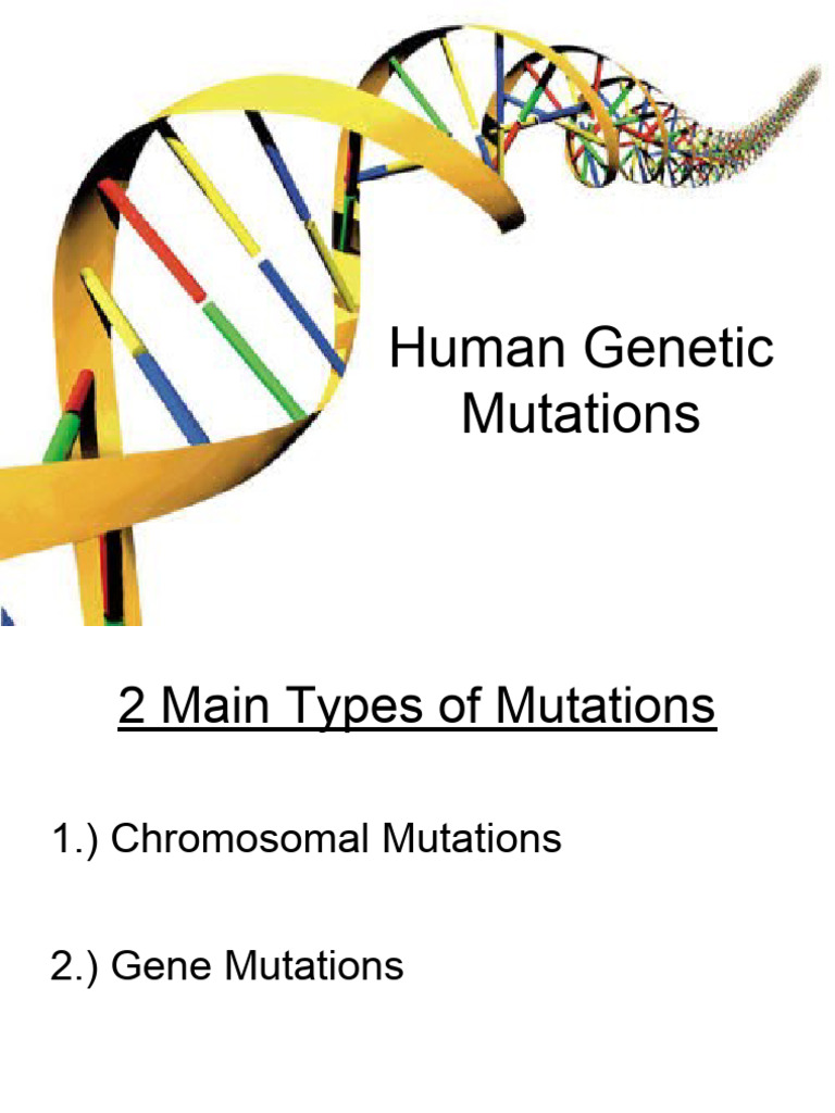 Genetic and Chromosomal Mutations | PDF | Mutation | Down Syndrome