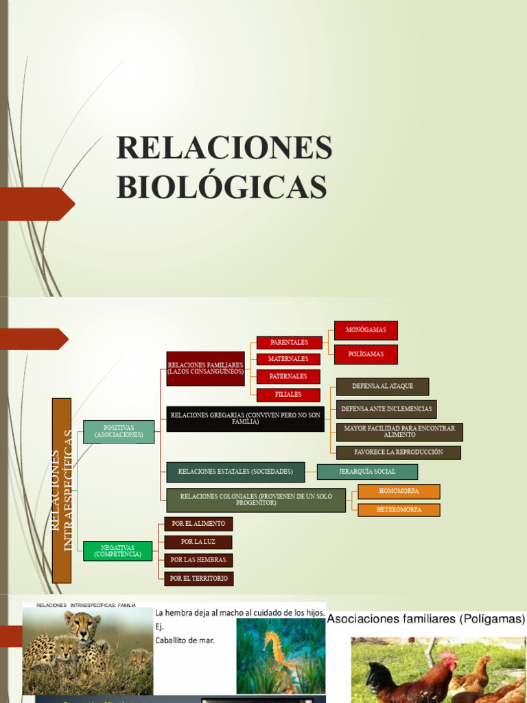 RELACIONES BIOLÓGICAS | PDF | Simbiosis | Evolución biológica