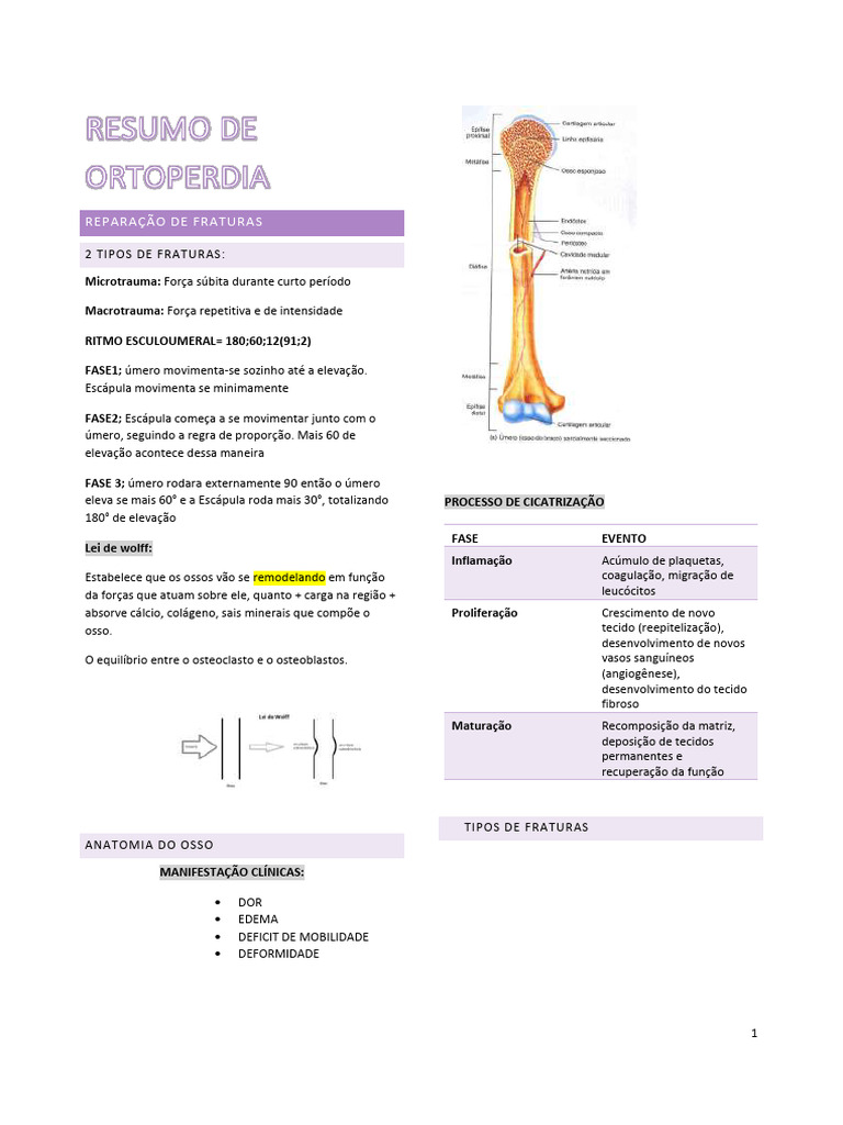 Orto Apostila | Download grátis PDF | Coluna vertebral | Escoliose