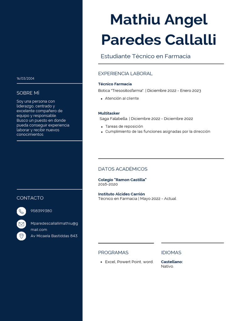 Currículum Corporativo Minimalista Azul Marino | PDF