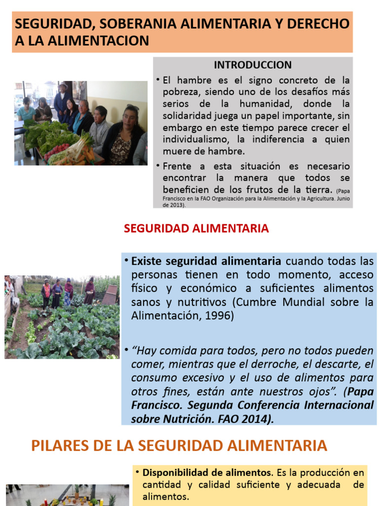 Soberanía Alimentaria 7u7 | PDF | Seguridad alimentaria | Alimentos