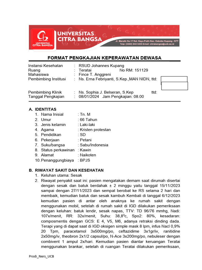 Format Pengkajian KMB NERS | PDF