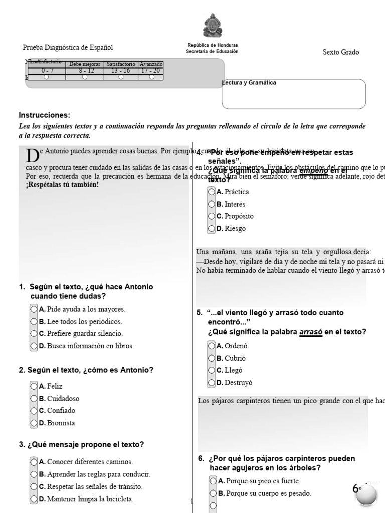 Prueba Diagnóstica 6º Español (2011) | Descargar gratis PDF | Residuos