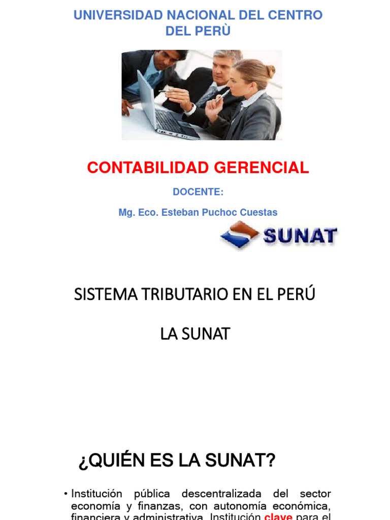 Sistema Tributa Rio | PDF | Impuestos | Impuesto sobre la renta