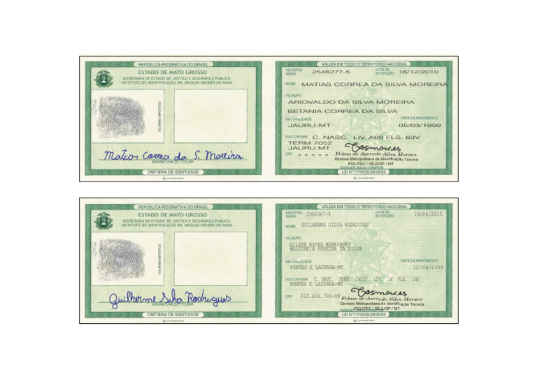 Modelo de RG Editável para Download | PDF