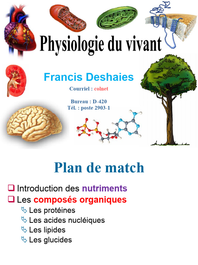 NE1-H24-A) Macromolecules | PDF | Membrane cellulaire | Protéines