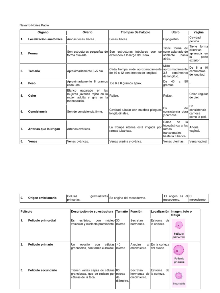 Act5.2 - Navarro Núñez Pablo | PDF | Ovario | Vagina