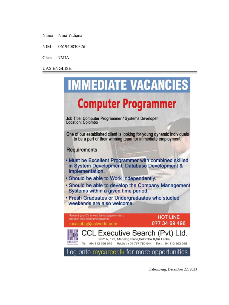 Job Application for Computer Programmer | PDF | Web Design | Computer ...