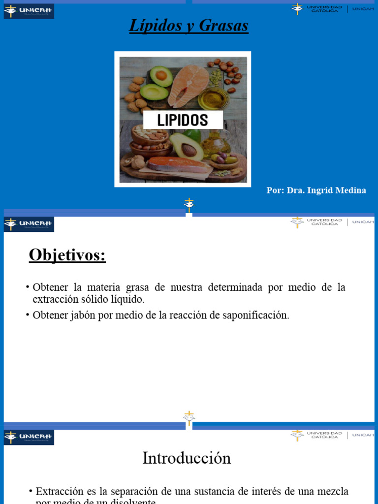 Practica 9 - Lipidos y Grasas | PDF