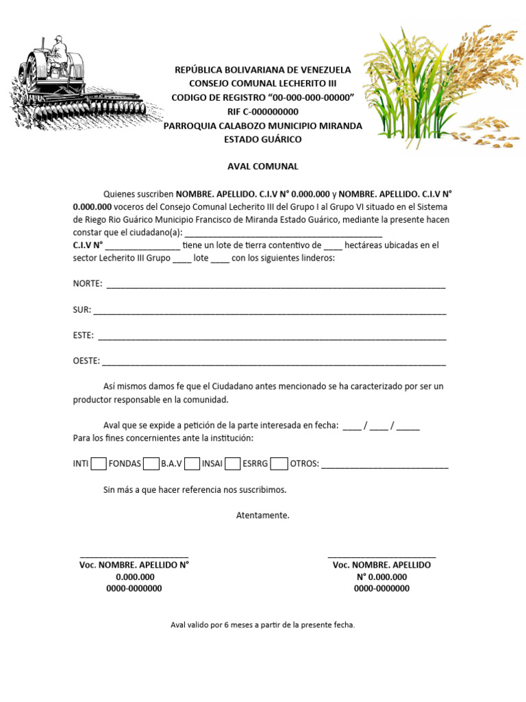 Formato de Carta Aval | PDF