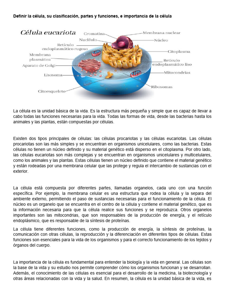 Guia La Celula Grado Sexto | PDF | Biología Celular) | Organismos