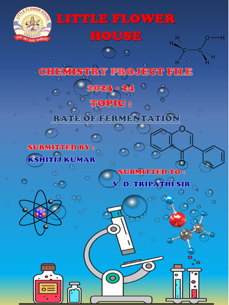 Chemistry Project File | PDF