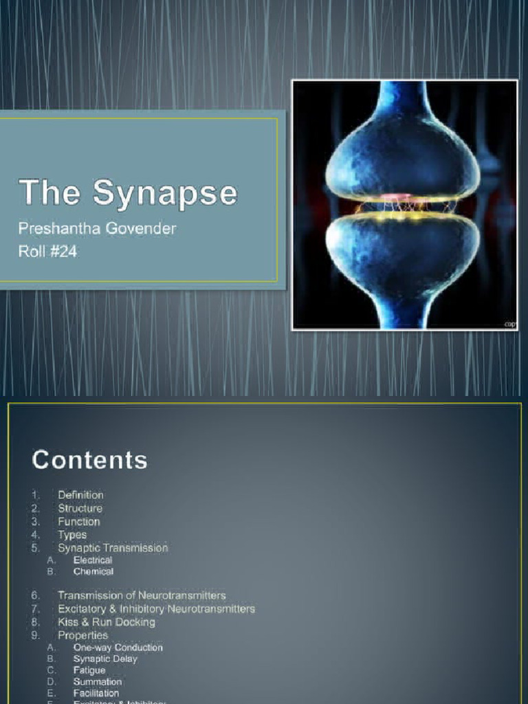 Synapse | PDF