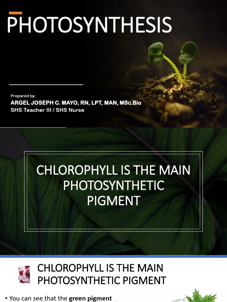 Photosynthesis | PDF | Photosynthesis | Electromagnetic Radiation