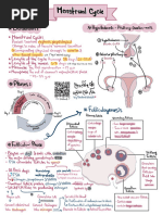 Menstrual Cycle Chart | PDF