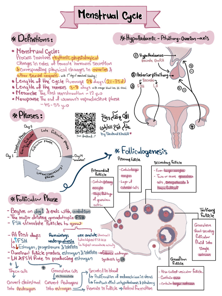 1.menstrual Cycle | PDF | Menstrual Cycle | Luteinizing Hormone
