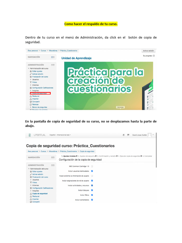 Crear Respaldos | PDF