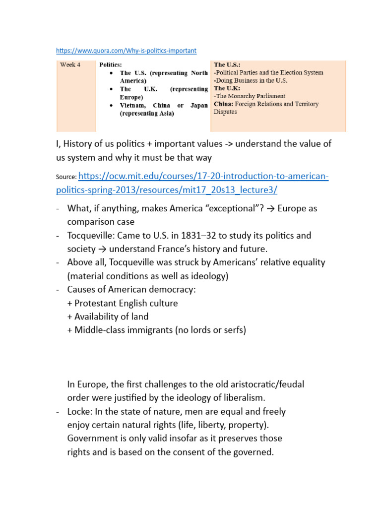 Plan For Us Politics | PDF
