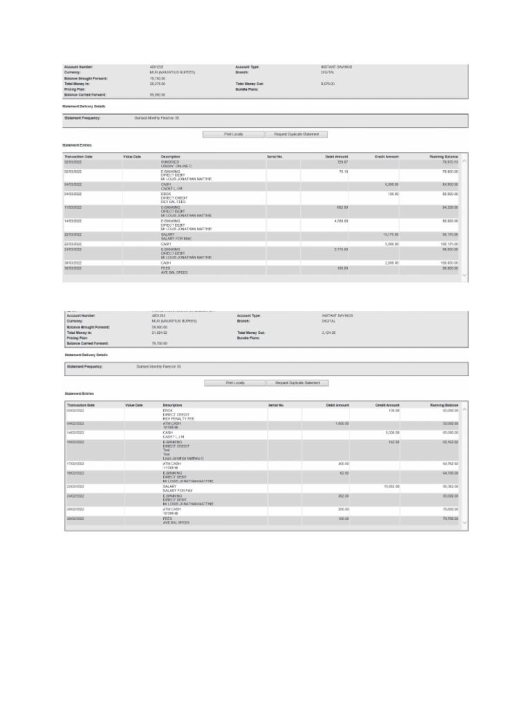 Mauritius Bank Statement | PDF
