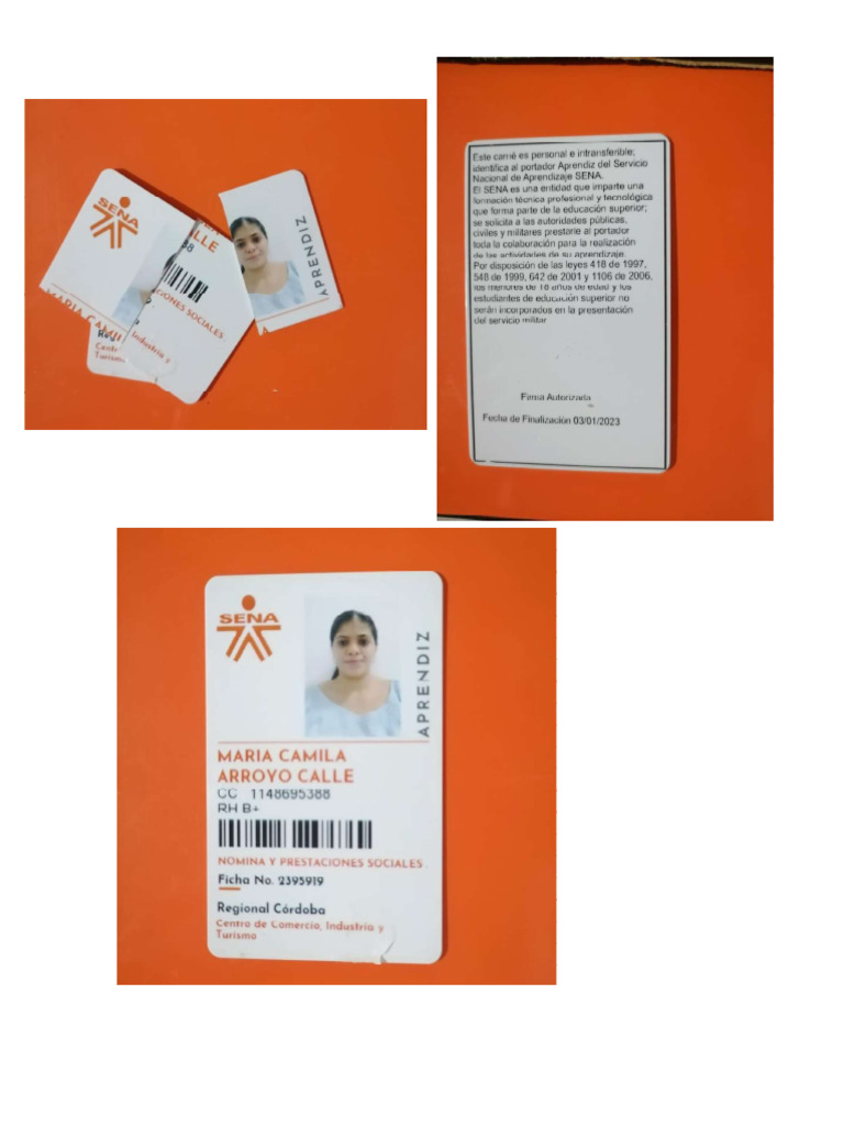 CC 1148695388 Carta Carnet No Destruido Sena | PDF