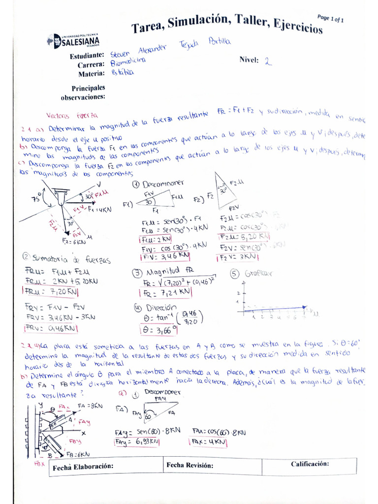 Steven Tejada T2 G3 Vectores Fuerza | PDF