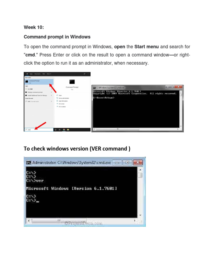Week 10 | PDF | Command Line Interface | Shell (Computing)