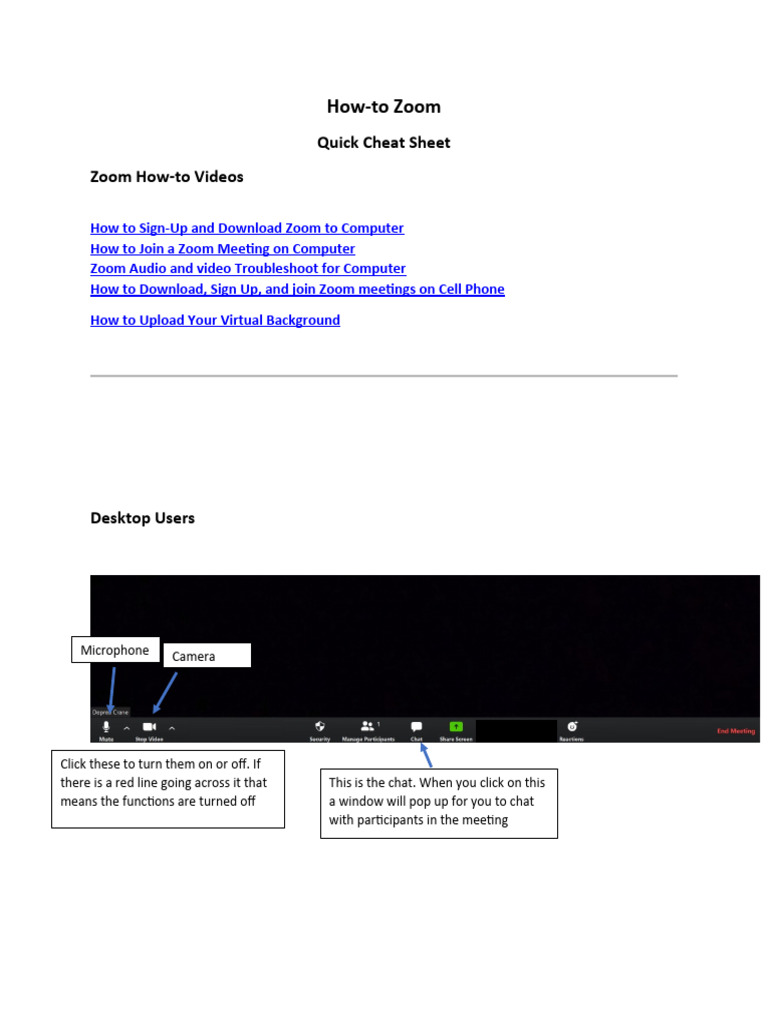 Zoom Setup and Troubleshooting Guide | PDF