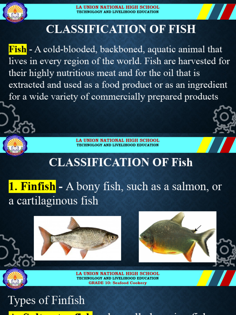 Classification of Fish | PDF